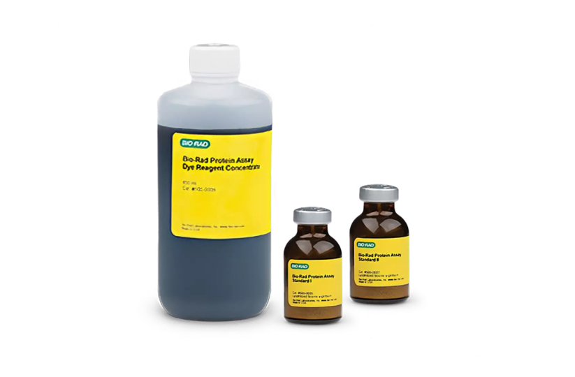 Bradford 蛋白定量試劑