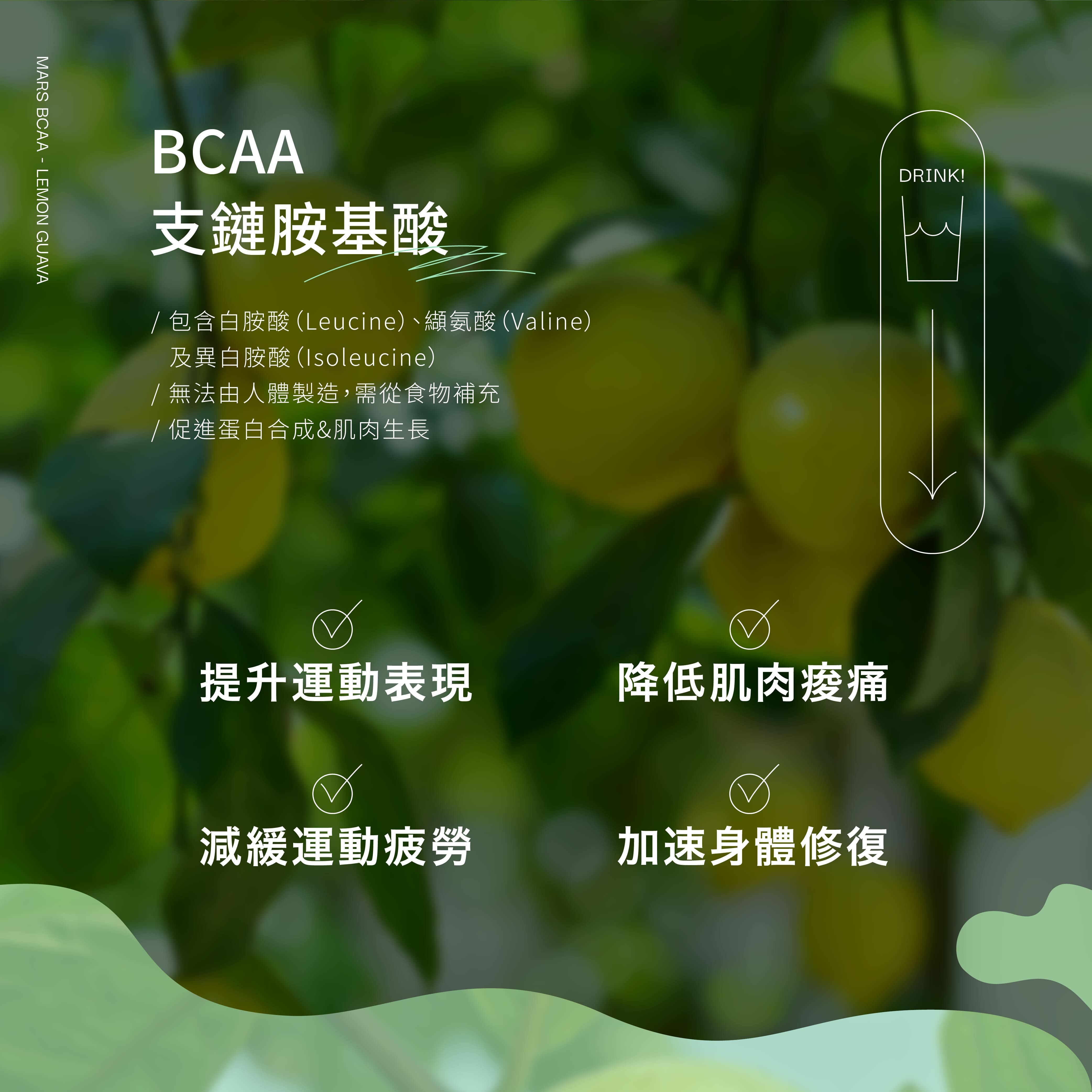 戰神 MARS BCAA隨手包沖泡飲-含專利電解質 (芭樂檸檬綠風味)