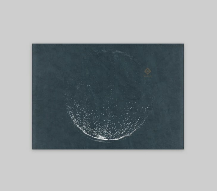 Take A Note TYVEK SHIMMERING BOOK COVER