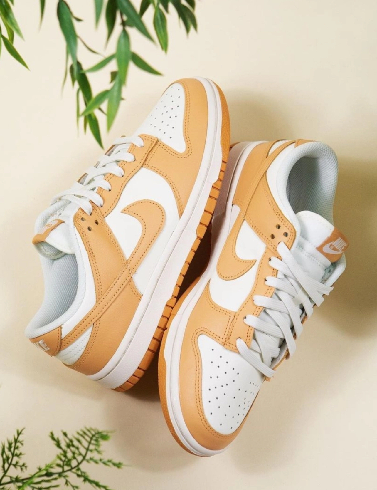 NIKE DUNK LOW HARVEST MOON DD1503-114 奶茶色