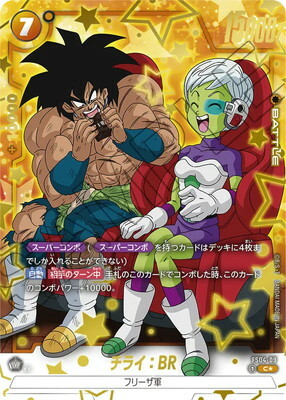 FS04-09 チライ：BR C★