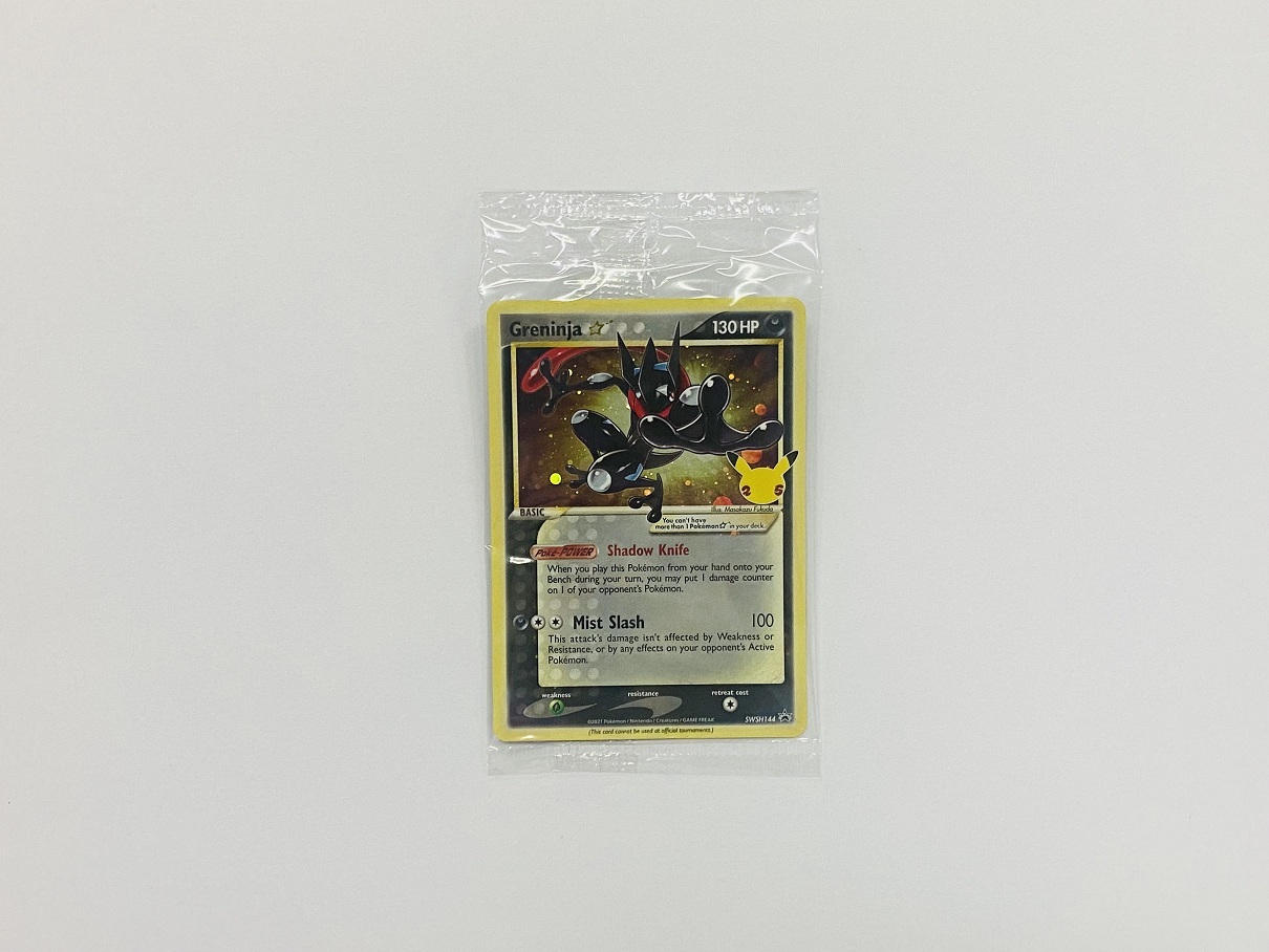 Pokemon TCG Sword & Shield SWSH050 Charizard V Promo Ca