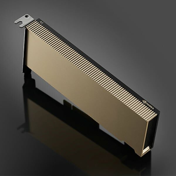 NVIDIA A2 (ATX) Entry Level GPU | 900-2G179-0020-101