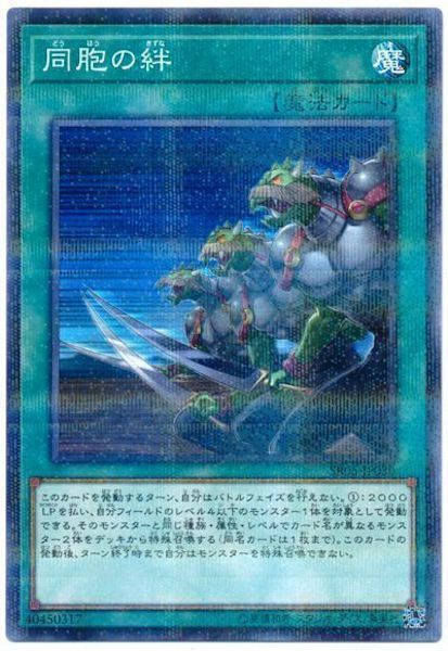 SR05-JP030(NPR)同胞の絆(同胞的牽絆)