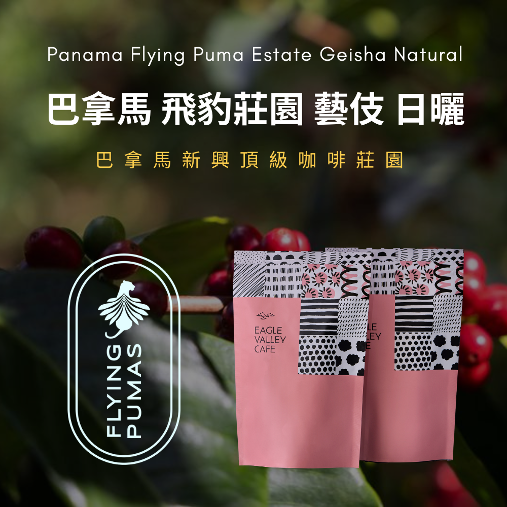 Panama Flying Puma Estate Geisha Natural