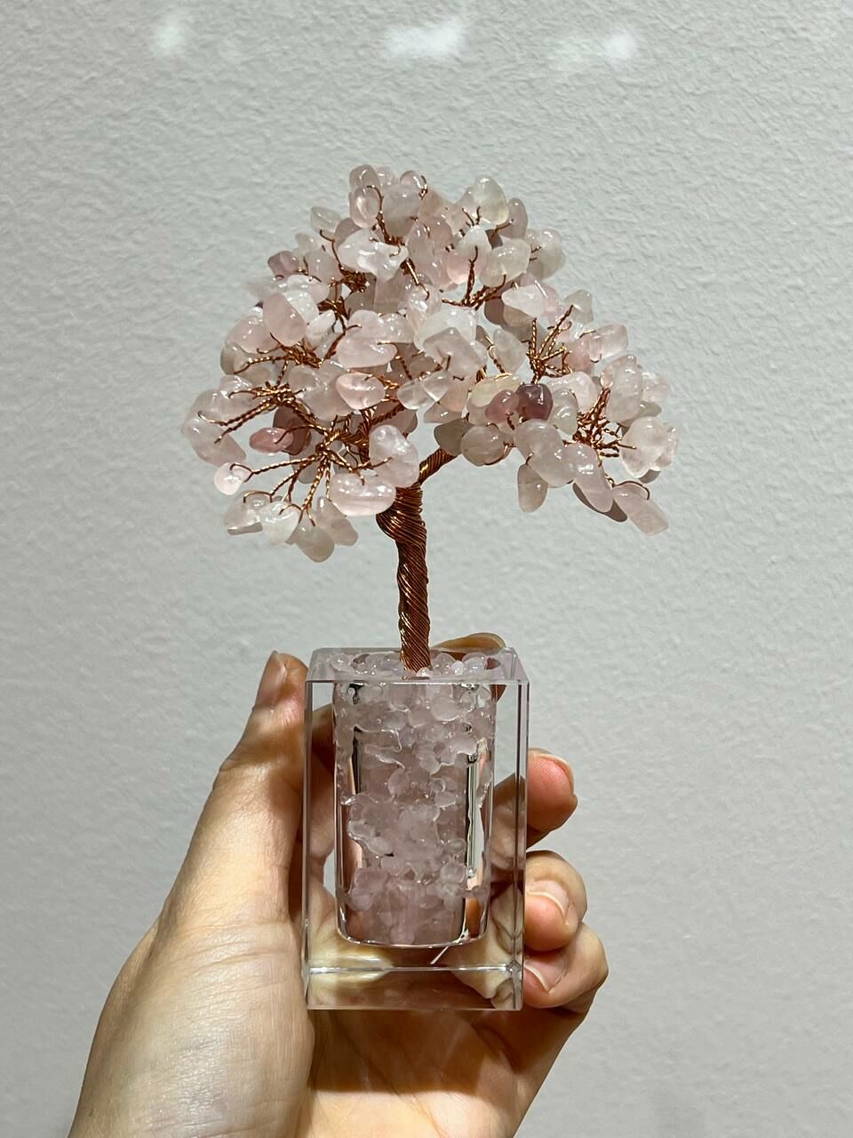 [S] GEMZ & CO BFG TRANSPARENT RECTANGULAR POT ROSE QUARTZ TREE, FL4 (SZF4)