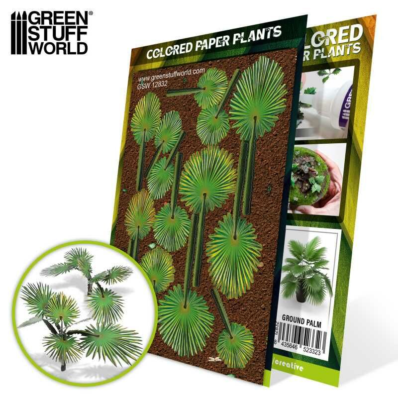 GSW - 彩色植物 Ground Palm