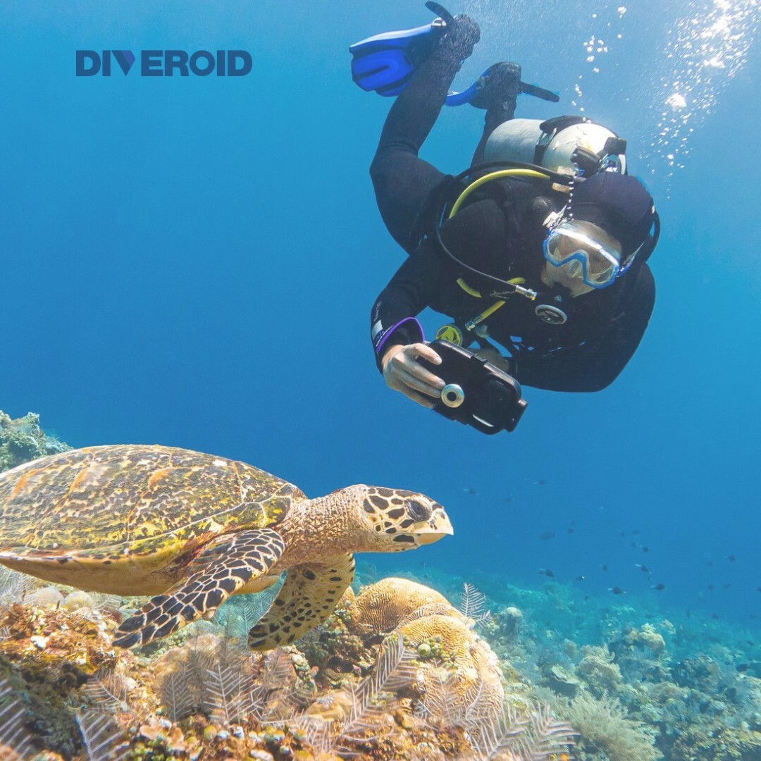 DIVEROID - 3合1 手機專用電腦潛水殼