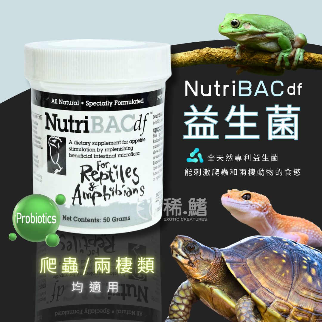 NutriBAC DF 美國益生菌 50g