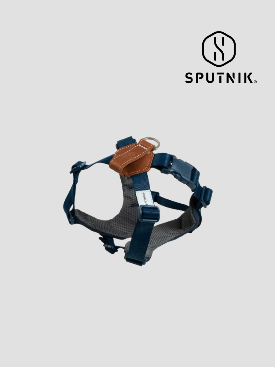 【SPUTNIK】EXPLORE 寵物胸背帶｜藍