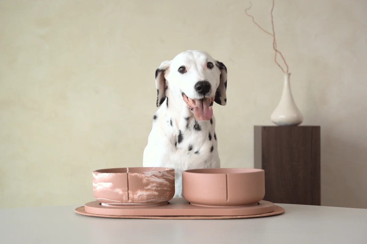 Pino Pets | 經典主食碗