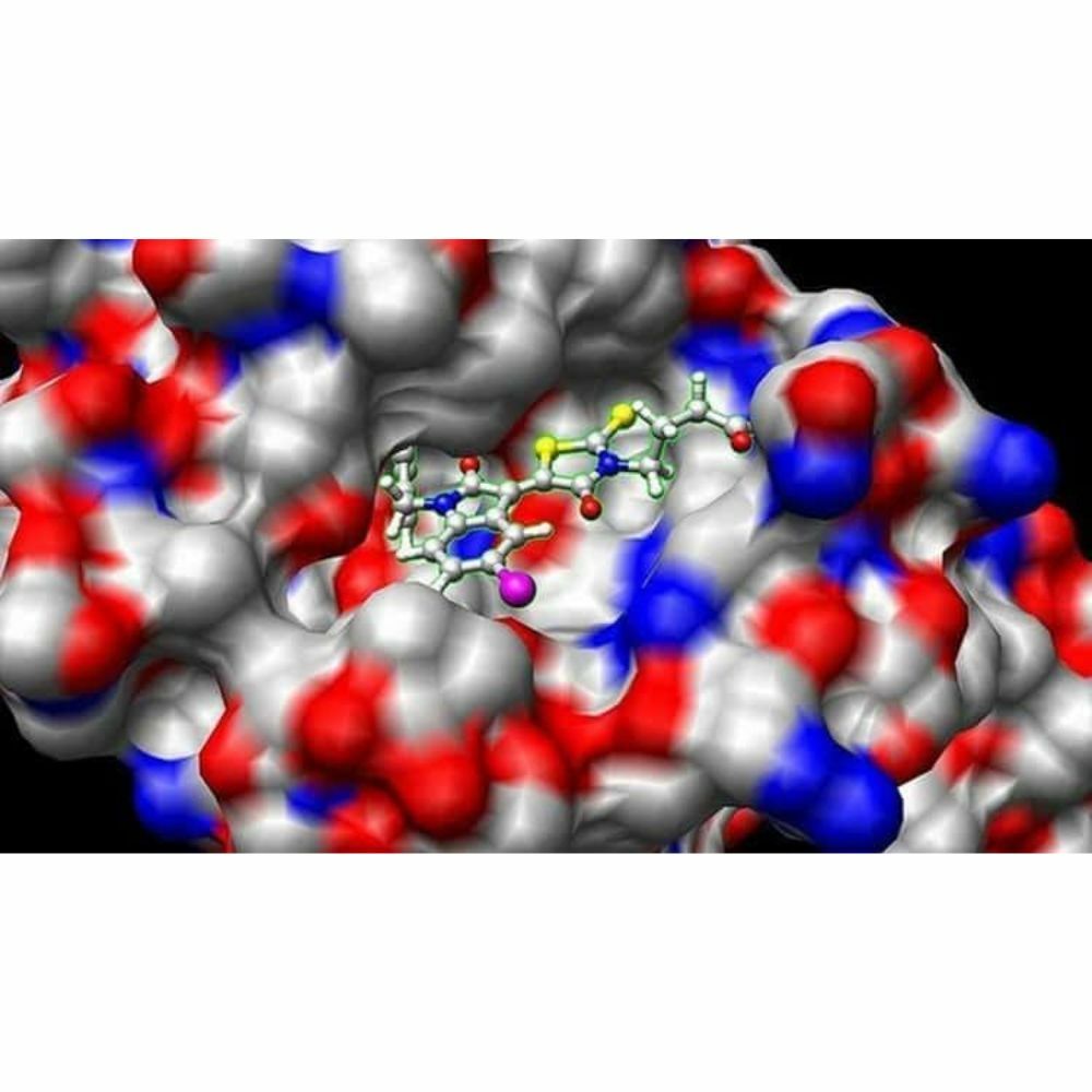 Bioinformatics Learn Docking And Mol Dynamics Simulation