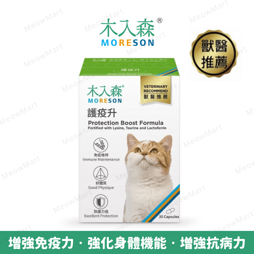 【現貨8折】台灣 Moreson 木入森｜貓咪護疫升｜全方位6大免疫配方