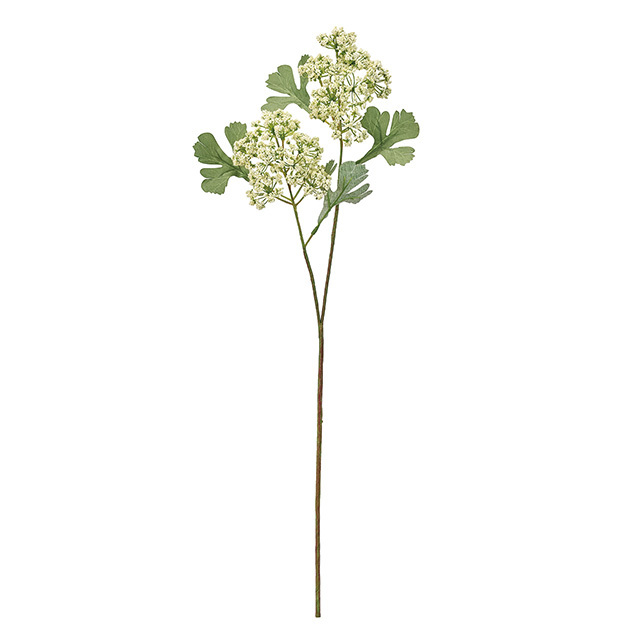 莉朵花藝｜東京堂｜FM-2280-001｜歐白芷｜白