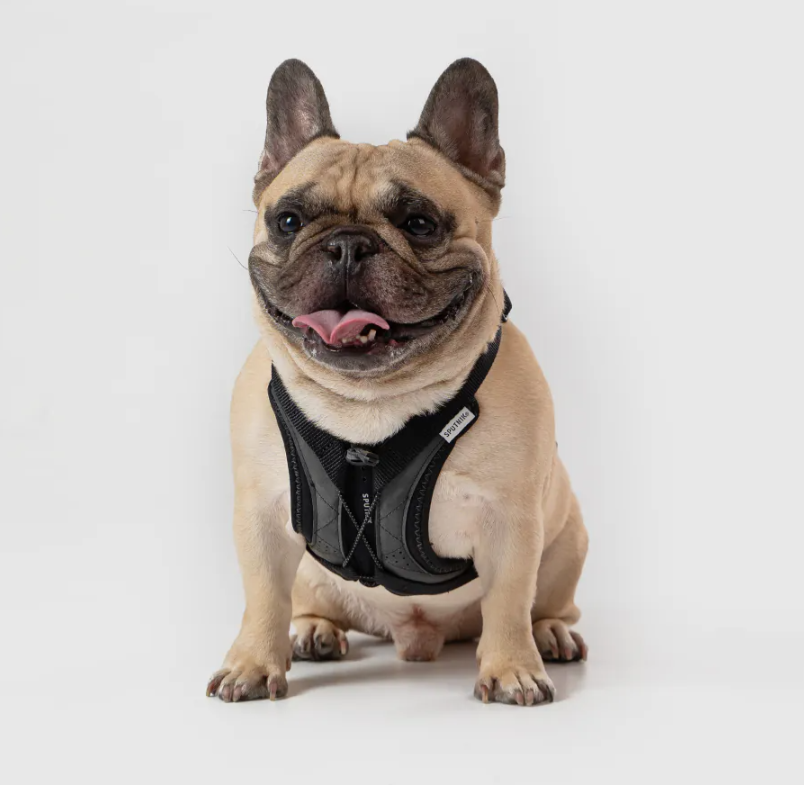 Sputnik - Ultra Explore︱Harness - Black