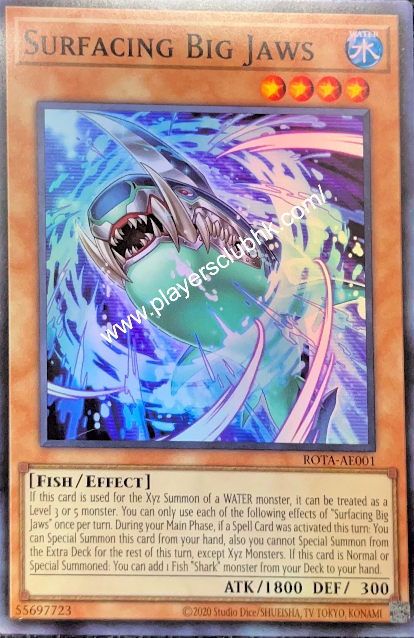 ROTA-AE001 (SR/QCSE)Surfacing Big Jaws