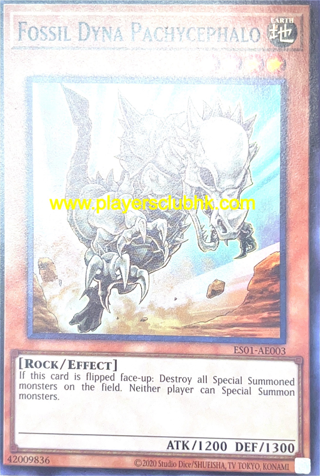 ES01-AE003 Fossil Dyna Pachycephalo