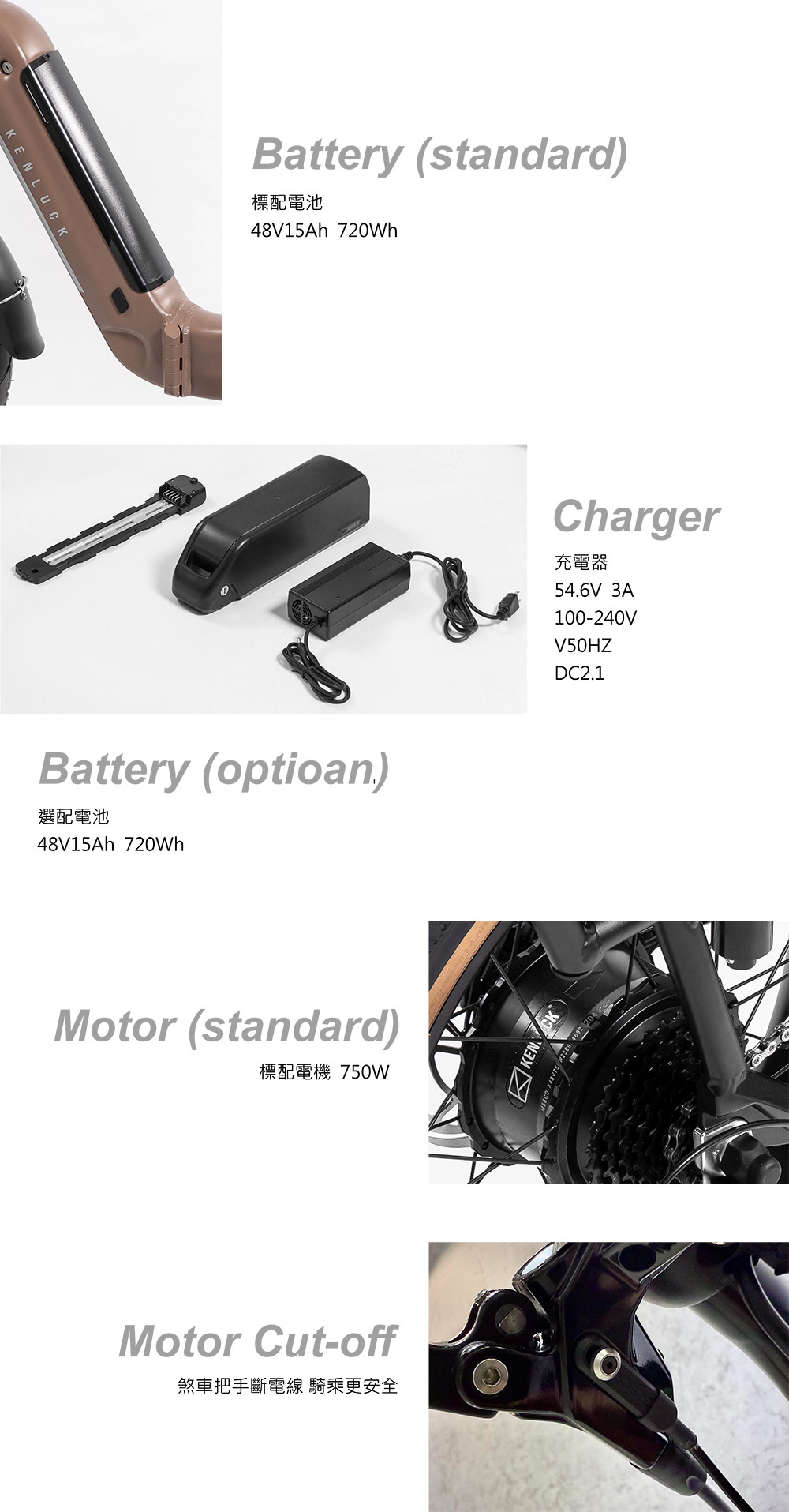 GOLUCK 摺疊電動輔助自行車