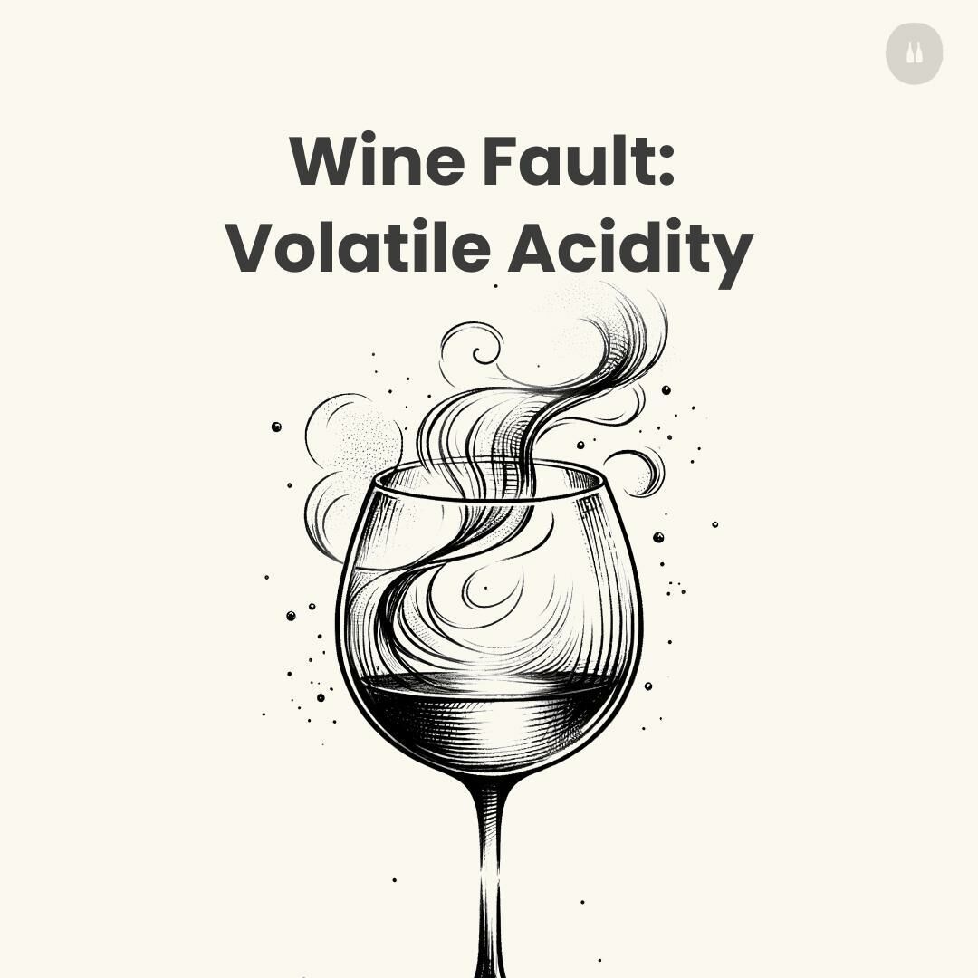 葡萄酒中的VA是什麼？| Volatile Acidity 揮發酸 | Wine Couple