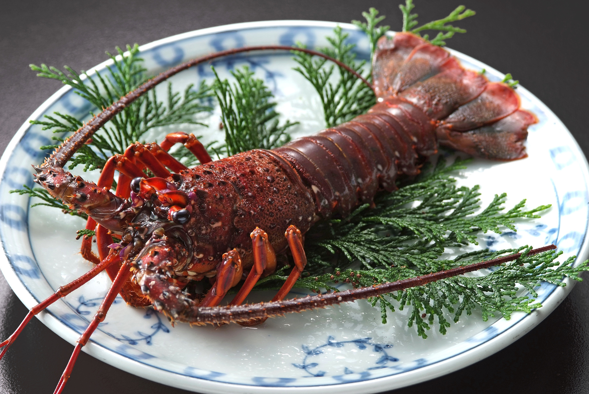 Ise Ebi (Japanese Spiny Lobster)｜TW SEAFOOD