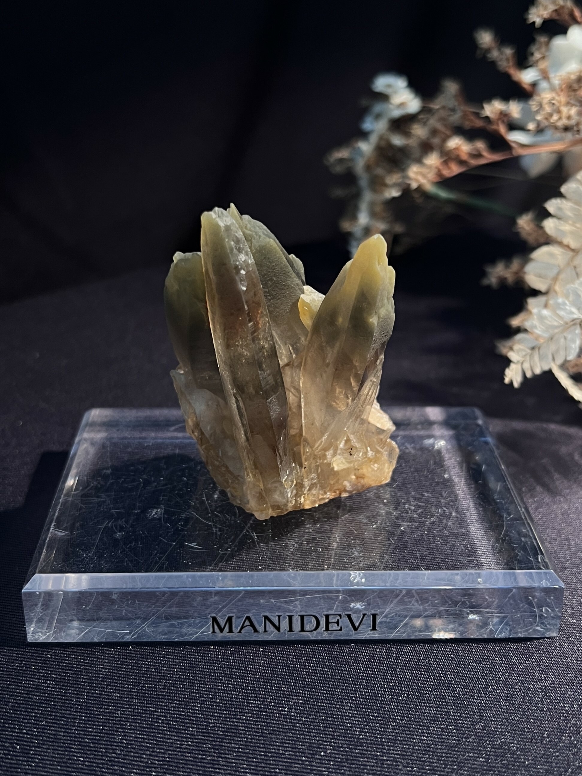 心欉暖陽水晶 Sun Quartz