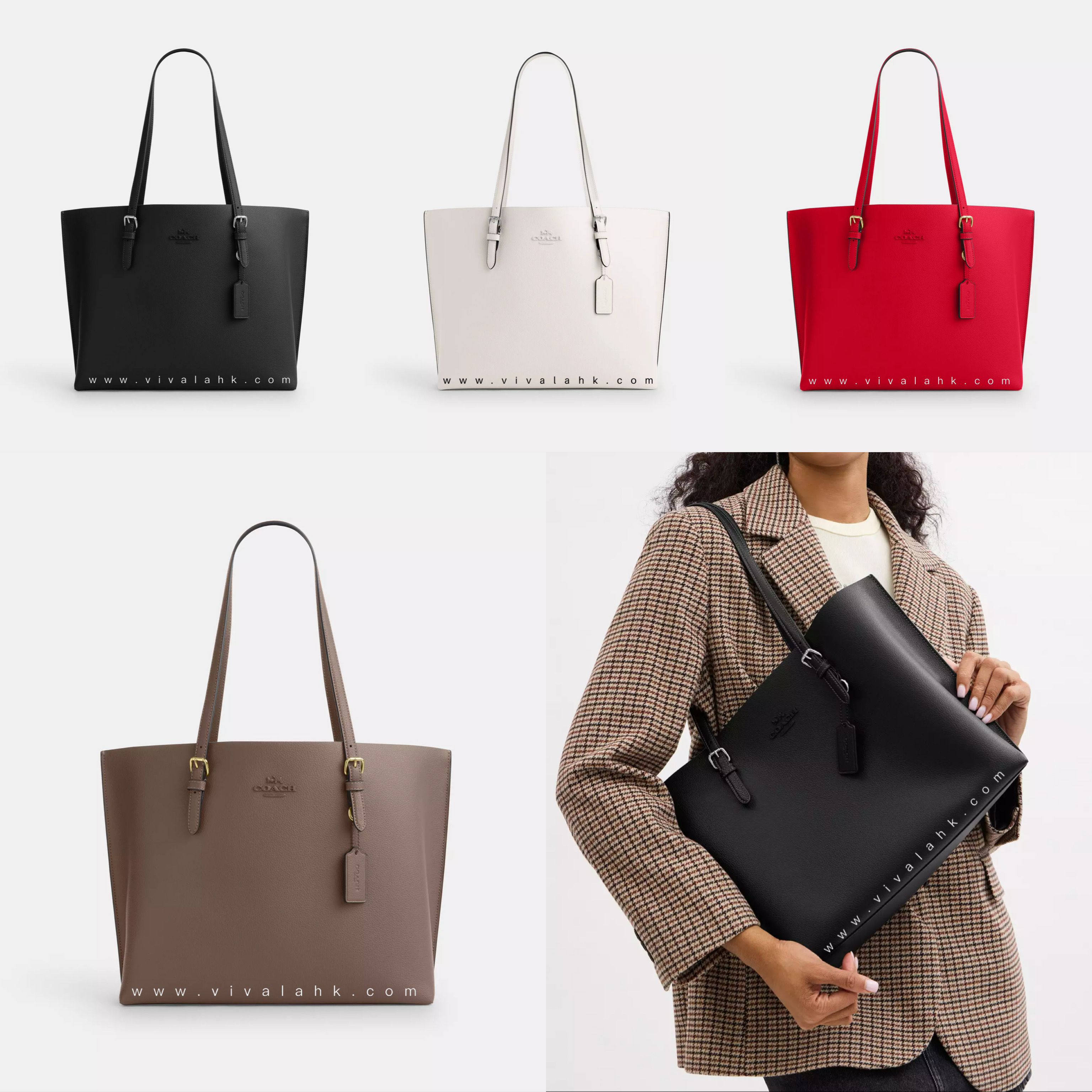 Coach - Mollie Tote Bag (CV968)