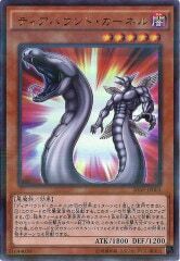 20AP-JP003（PUR） ディアバウンド・カーネル（迪亞邦德之核）