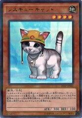 20AP-JP061（PUR） レスキューキャット（救援貓）