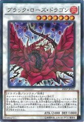 20AP-JP067（NPR） ブラック・ローズ・ドラゴン（黑薔薇龍）