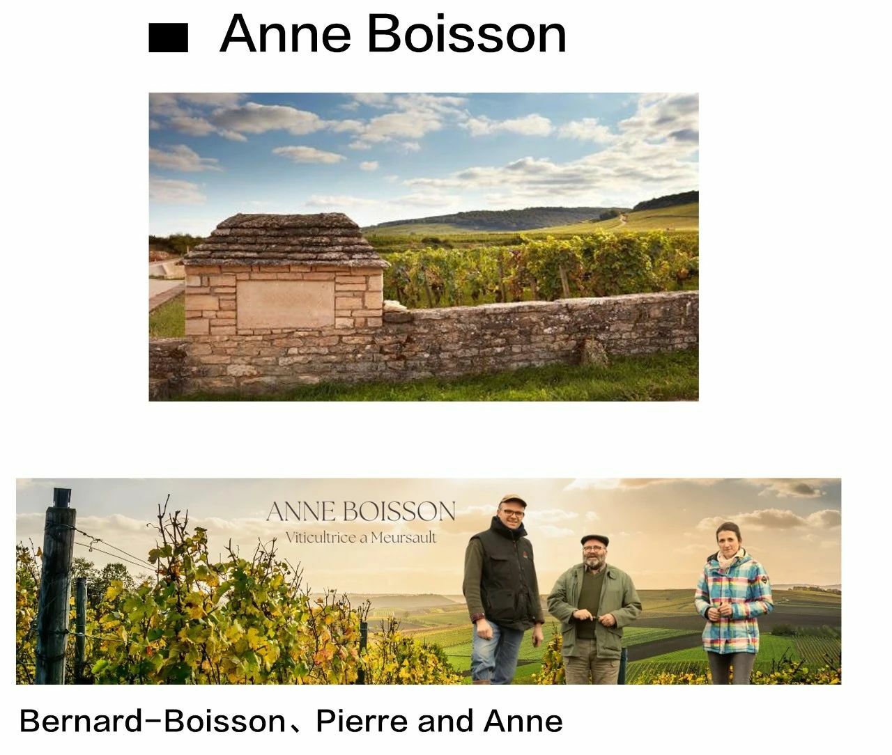 Anne Boisson｜Meursault｜Wine Couple 醇酒伴侶