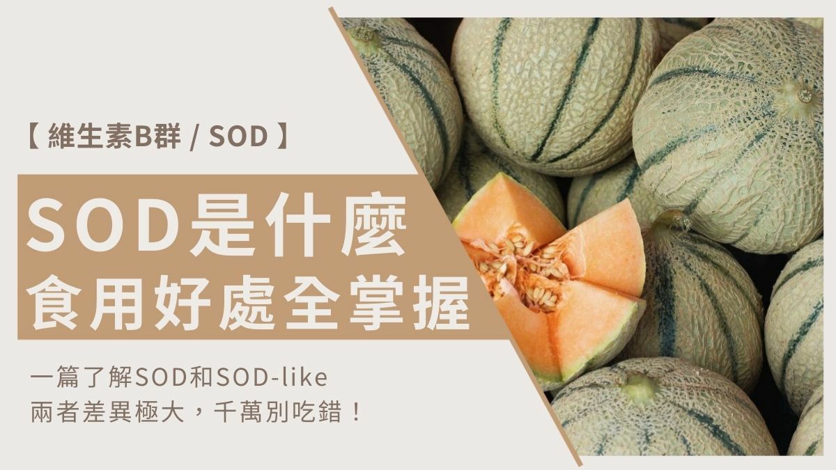 SOD是什麼？一篇了解SOD、SOD-like差異，SOD好處全掌握！