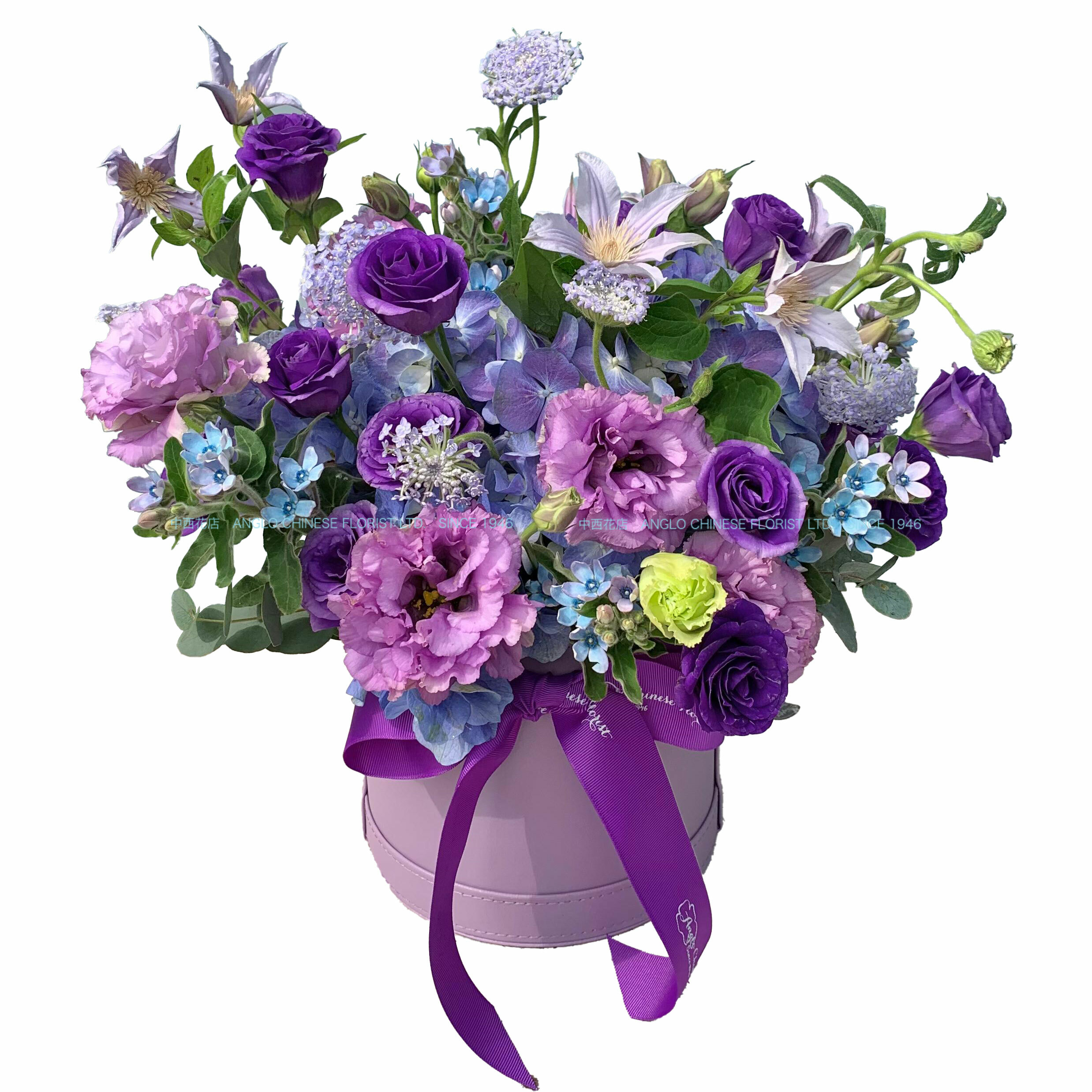 Violet Butterflies FA2501