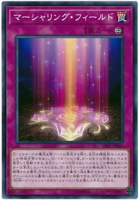 DBIC-JP045 マーシャリング・フィールド(盾徽統合場)