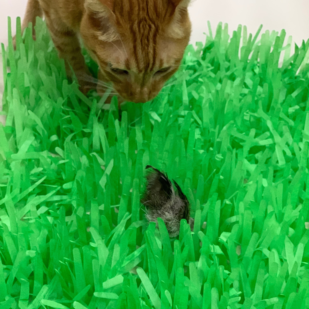 Tissue Paper Grass Mat