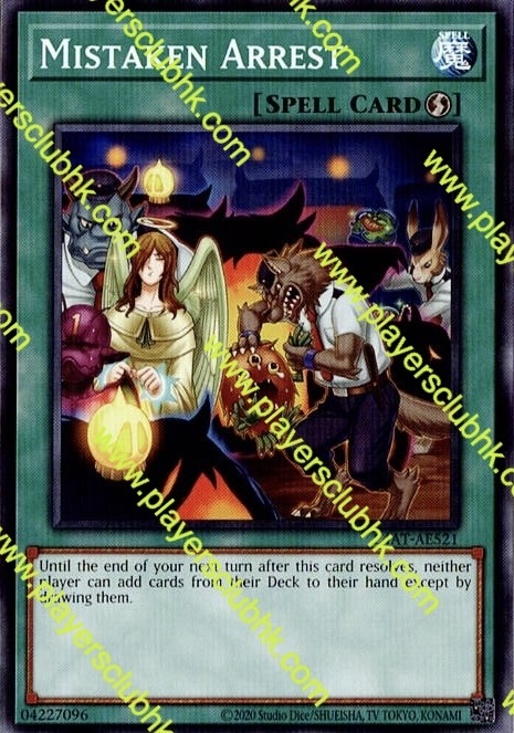 24AT-AE521 Mistaken Arrest