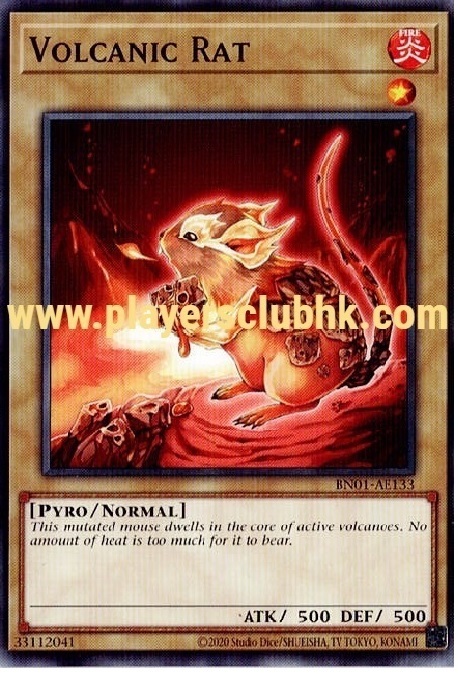 BN01-AE133 Volcanic Rat