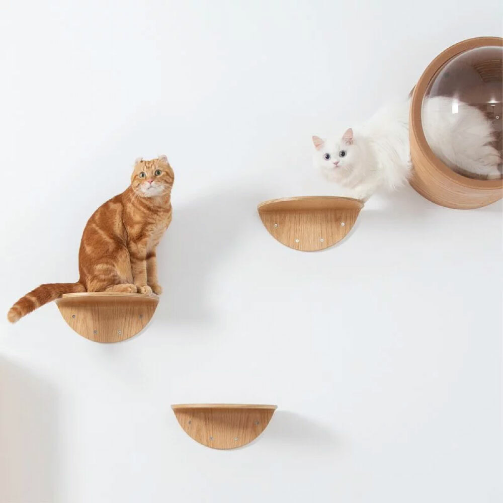 MYZOO - Lack R貓踏板2入組-原木色