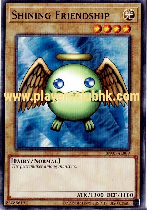BN01-AE089 Shining Friendship