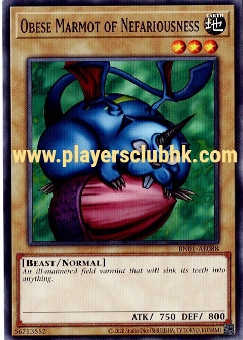 BN01-AE088 Obese Marmot of Nefariousness