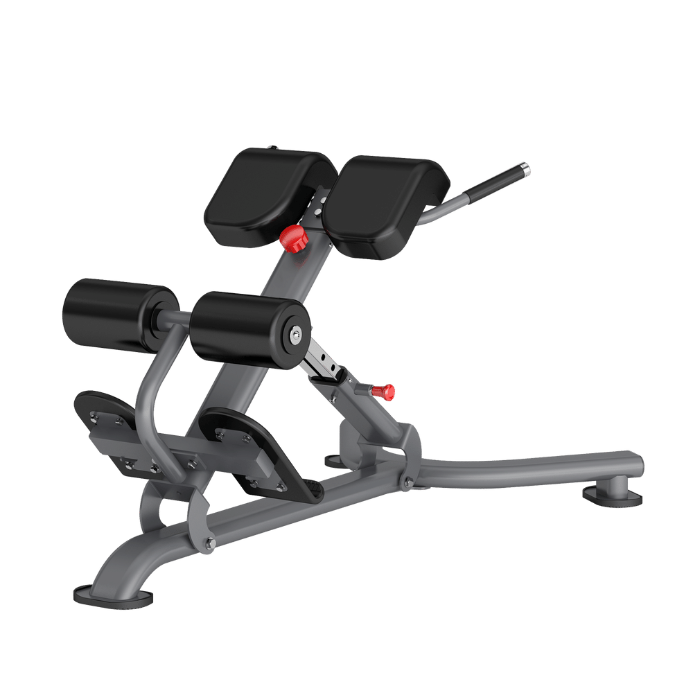 Back Extension DR010