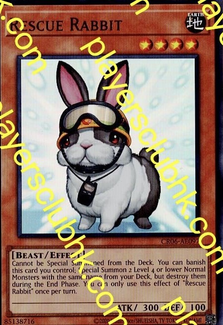CR06-AE097 (UR/SER/QCSE)Rescue Rabbit