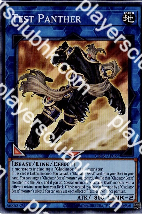 CR06-AE065 (SR)Test Panther