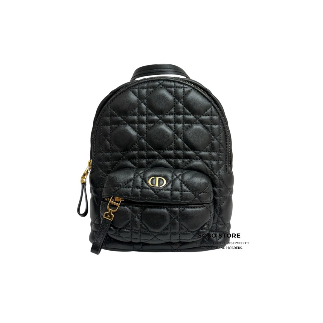 Dior Mini Backpack - Black / Ghw