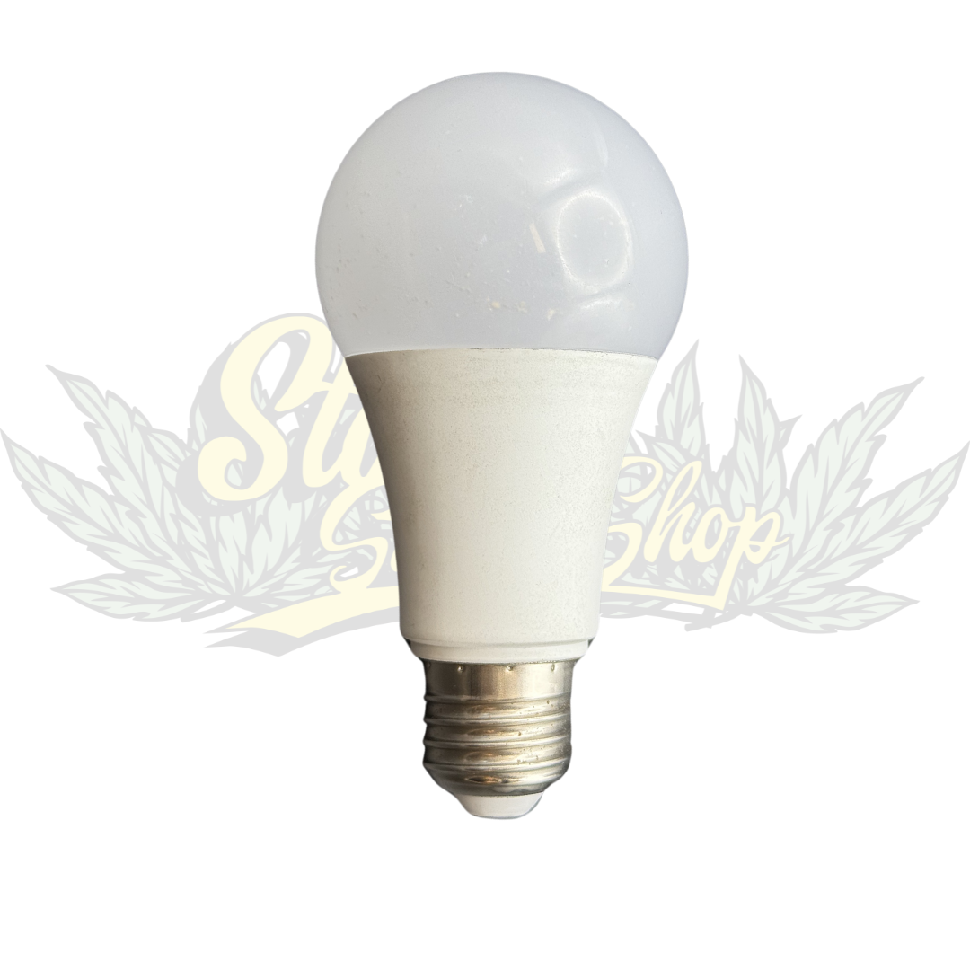 「Fake Bulb」｜偽裝系列