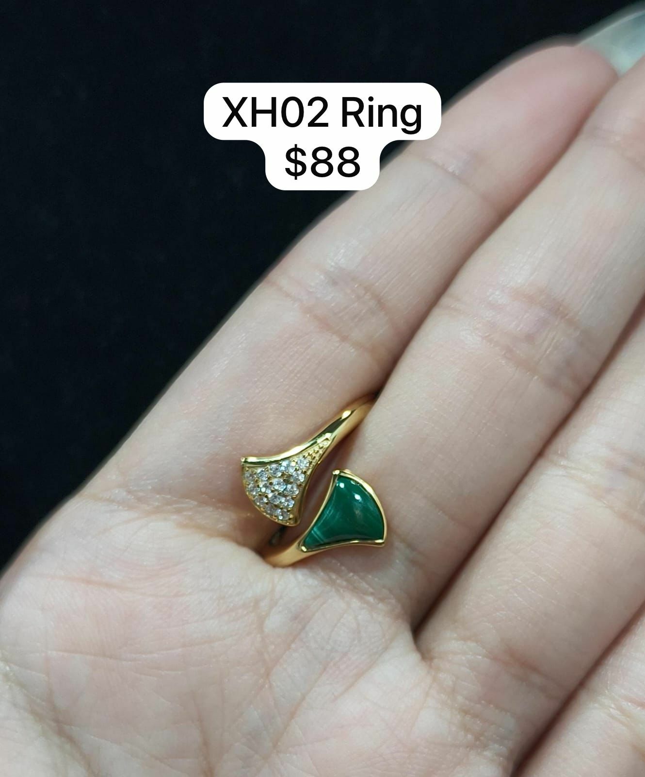 1 XH02 RING (RYAN)