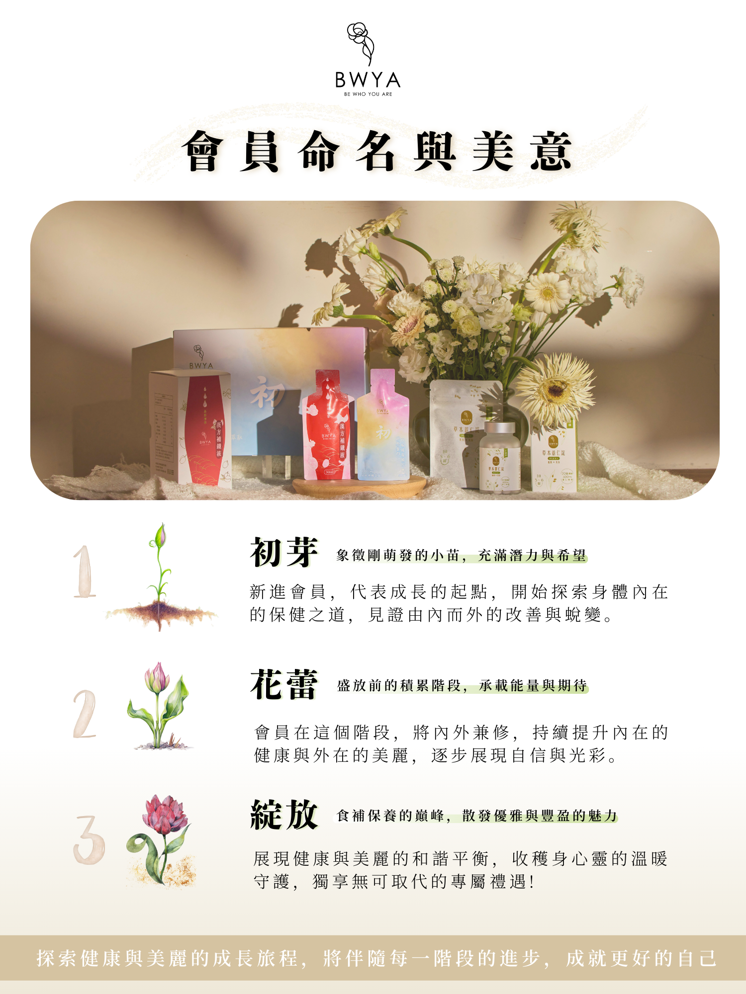 加入 BWYA 會員享購物金與專屬折扣｜點數回饋天天賺