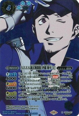 【SECRET】CB33-007 [S.E.E.S.制式戦闘服]伊織 順平 [2] M