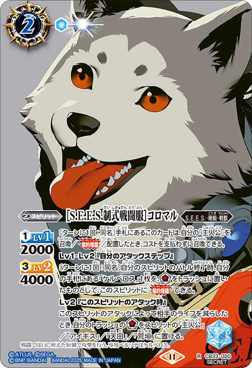 CB33-020 R [S.E.E.S.制式戦闘服] コロマル (SECRET)
