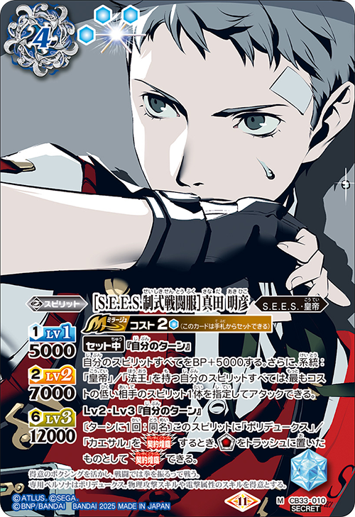 CB33-010 M [S.E.E.S.制式戦闘服] 真田 明彦 (SECRET)