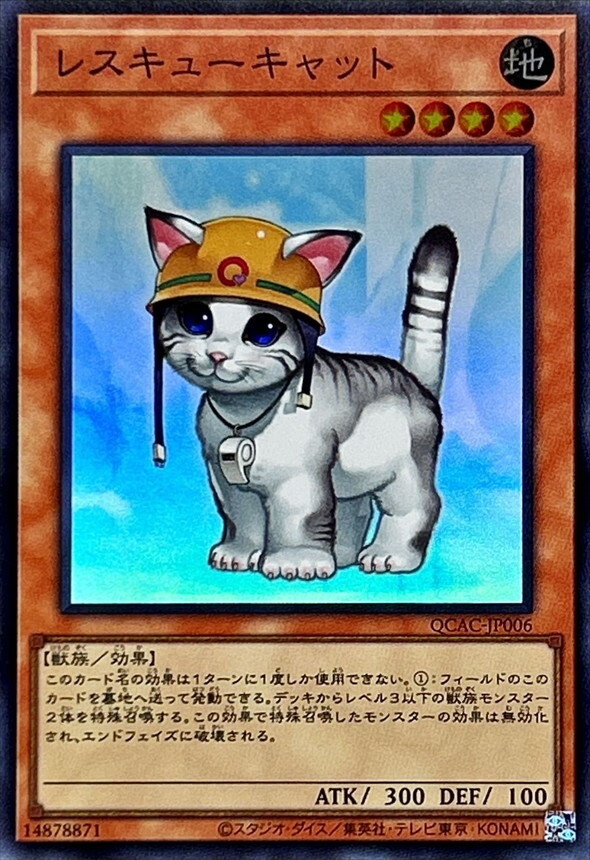 QCAC-JP006 レスキューキャット